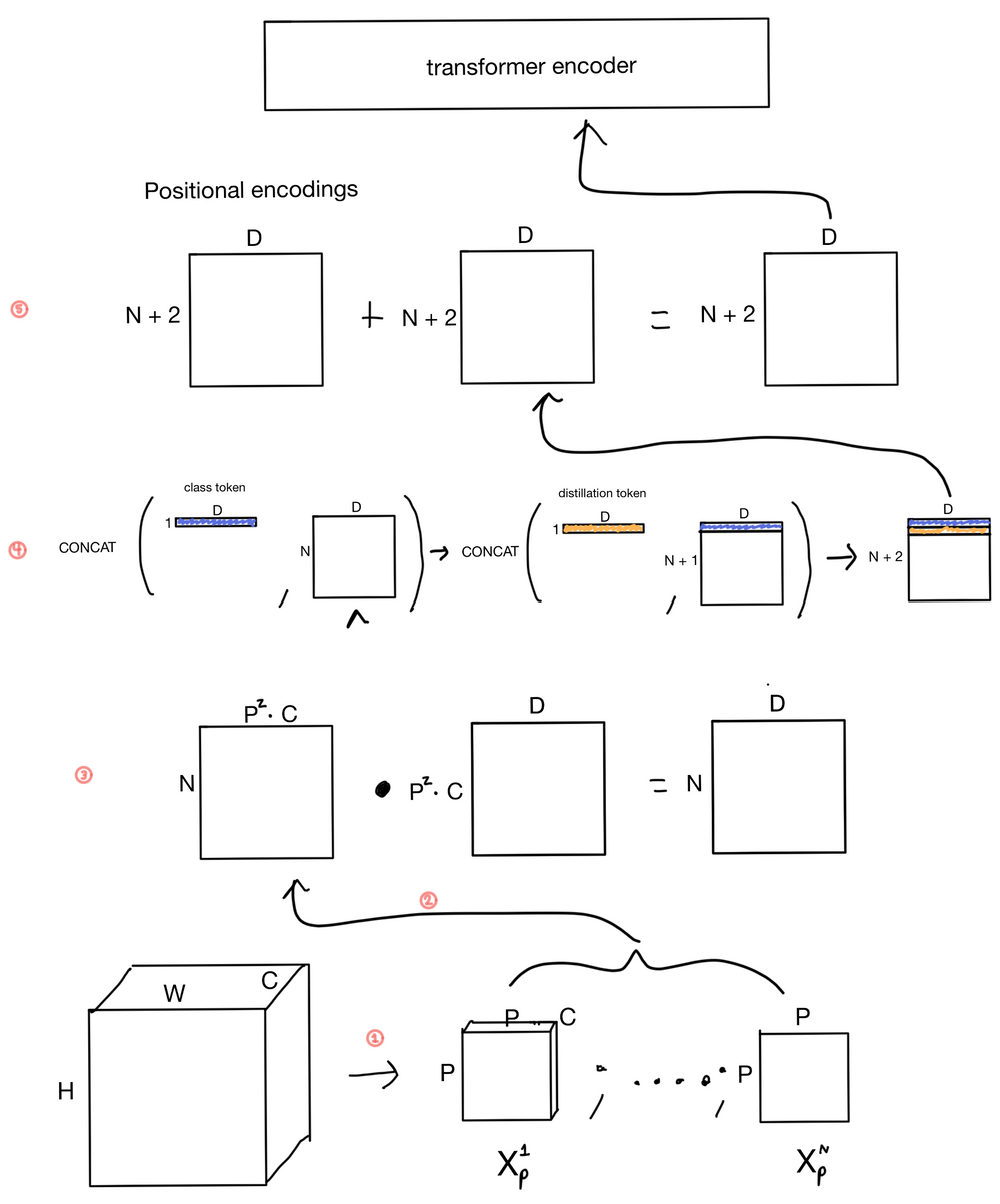 Paper Walkthrough: DeiT (Data-efficient image Transformer)