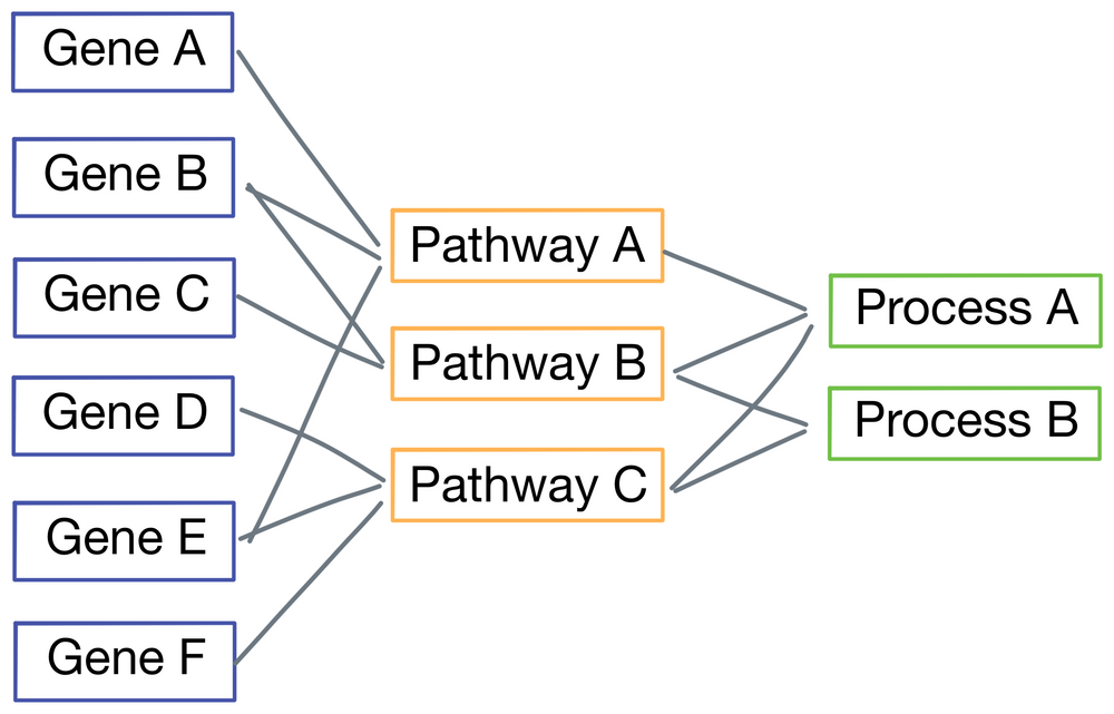Explained: Attention Visualization with Attention Rollout Explained: Attention Visualization with Attention Rollout