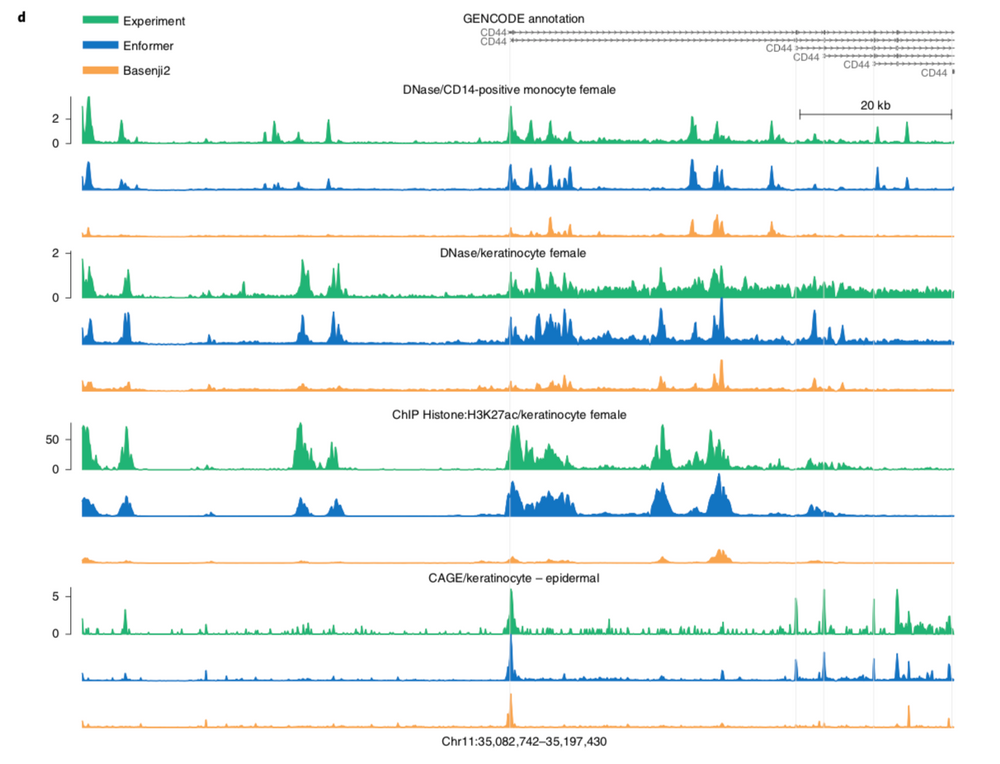 Enformer: Effective gene expression prediction from sequence by integrating long-range interactions