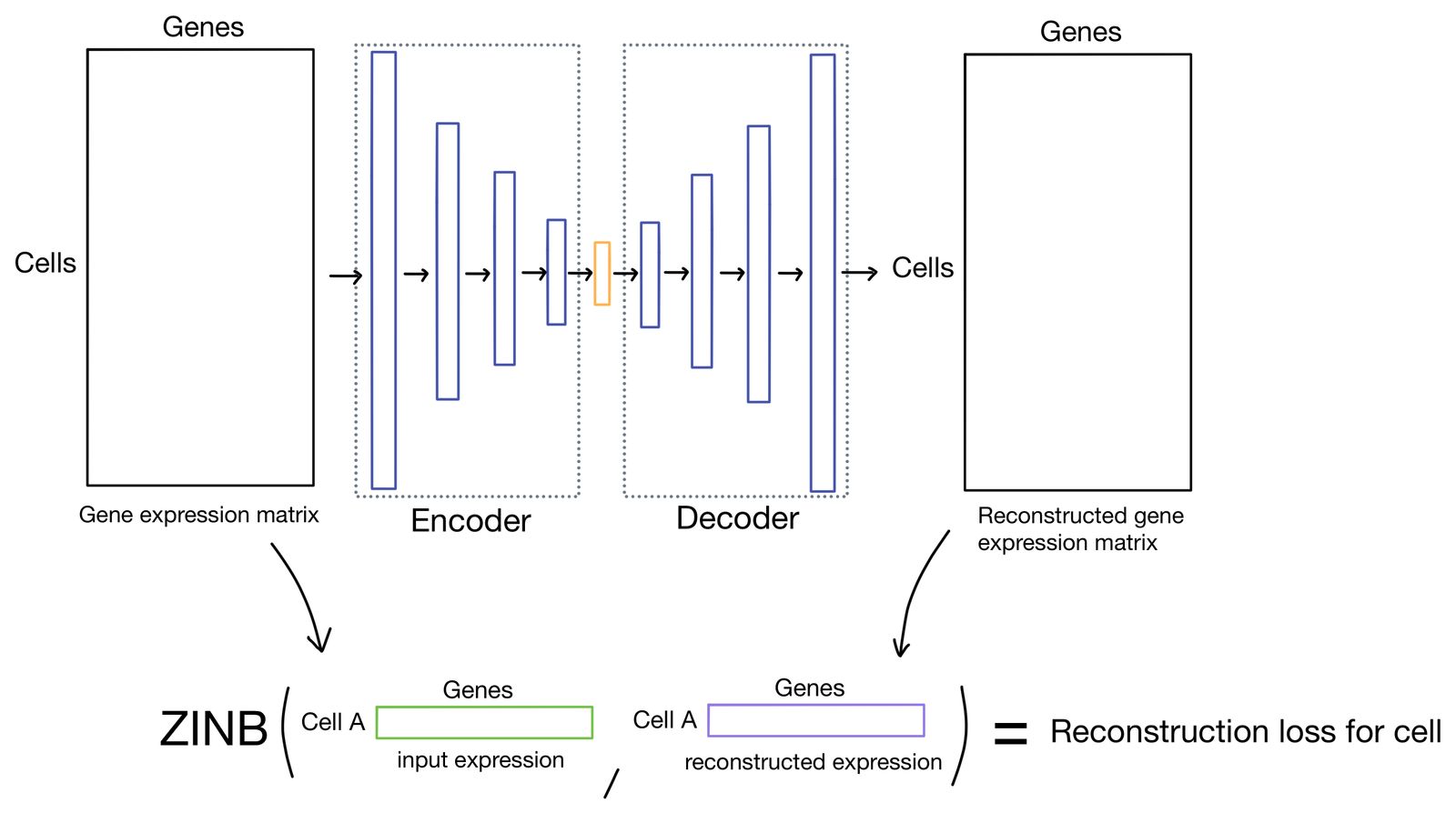 Explained: Deep learning methods for scRNA-seq clustering
