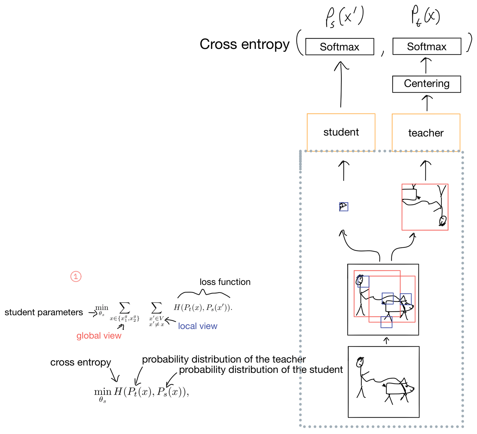 Paper Walkthrough: DINO
